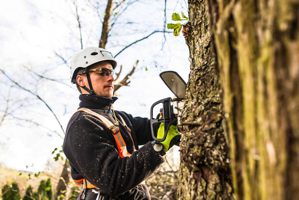 About Us | Tulsa Tree Removal & Tree Service | Top Notch Tree Service